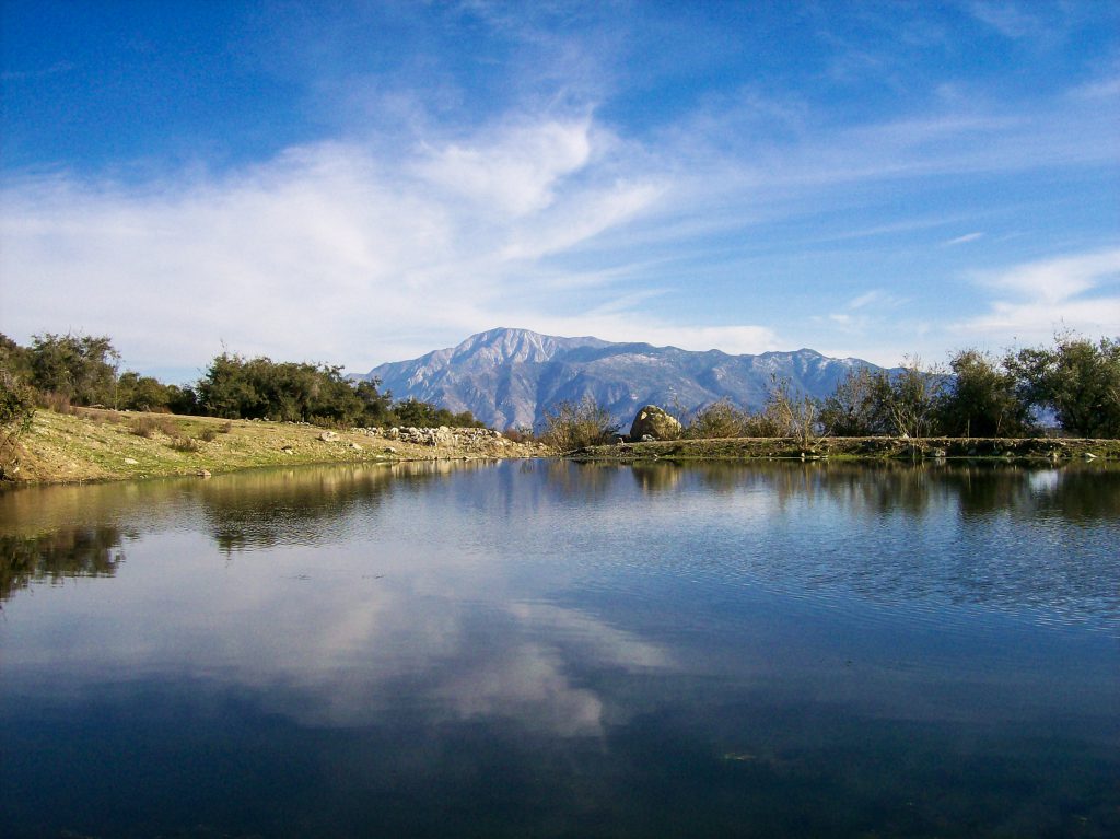 Morongo Band makes history with green energy project - Indianz.Com