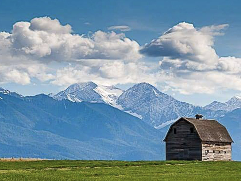 Confederated Salish and Kootenai Tribes (Montana) - COVID-19 in Indian ...